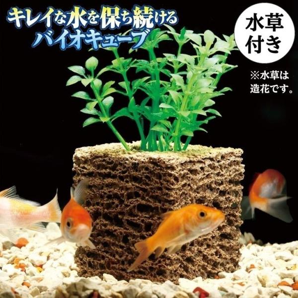 ＜12:00までのご注文で日・祝日以外は即日出荷！＞水槽に入れるだけで水換えの手間を大幅に軽減！水槽のきれいな水を保ち続けるバイオキューブです。納豆菌をはじめとする浄化生物がお魚のふんや餌の食べ残しから発生するアンモニアや亜硝酸を分解します...