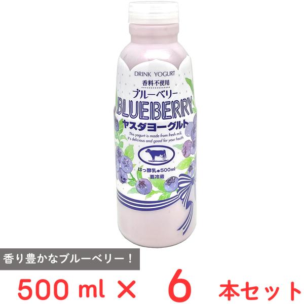 ●商品特徴ブルーベリー果肉と濃縮果汁を使用した飲むヨーグルト【仕様】ブルーベリーの香り豊かな果肉と甘酸っぱいワイルドブルーベリー濃縮果汁使用【風味】ブルーベリーの甘酸っぱさが濃厚なヨーグルトによく合います内容量:500ml×6本商品寸法(高...