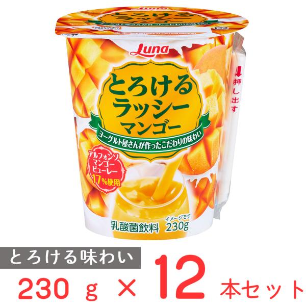 ●商品特徴マンゴーピューレ・果汁を 17% 使用したとろける味わい【商品概要】果汁感と甘み・酸味の絶妙なバランスにこだわり、とろ〜りまろやかな味わいに仕上げました。乳と果物のとろける出会いをお楽しみください。【アピールポイント(1)】「マン...