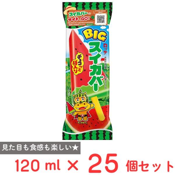 ●商品特徴サクサクとしたチョコ種が入ったまるでスイカのような形をした見た目も食感も楽しいアイスバーです。赤色部分は果肉を緑色部分はシャキシャキとした皮をイメージしています。