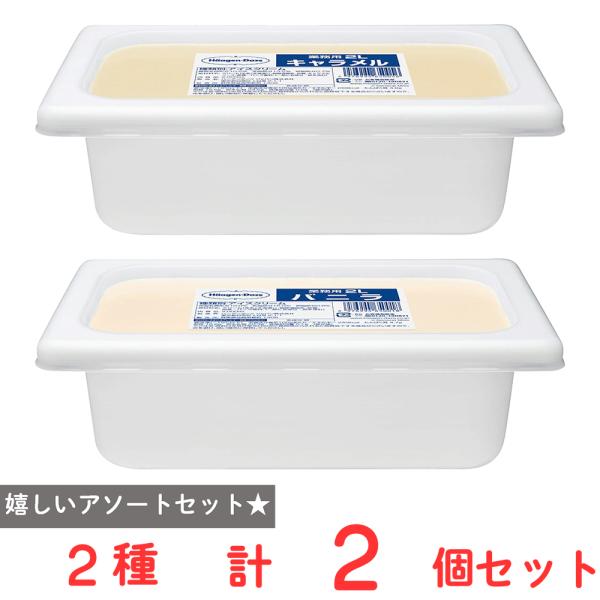●商品特徴30年の歴史を持つ総合食品卸会社が運営し、家庭用から業務用まで幅広いニーズにお応えする、Smile Spoonが厳選したアソートセットです！異なる魅力的な商品をお楽しみいただけます。[アイス] ハーゲンダッツ 業務用 2L キャラ...