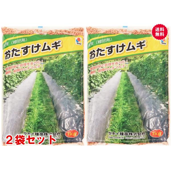 早枯れタイプで雑草抑制に最適！「おたすけムギ」でリビングマルチのすすめ！※早枯れタイプのリビングマルチで雑草抑制。リビングマルチ用の大麦です。発芽、初期生育が早く、旺盛に成長し、早期に地表を被覆します。枯れ上がりが早いため、主作物と競合しに...