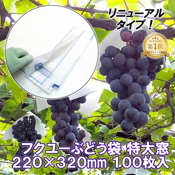 ぶどうの栽培・管理をより快適に、より確実にするための必須アイテム「ぶどう袋 特大窓 セロハン 透明 窓付 100枚入（220×320mm）」をご紹介します。こちらは、主にマスカット系の緑ぶどうに最適な果実袋として設計された高品質な日本製の園...