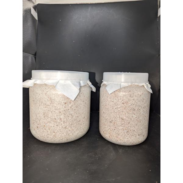 オリジナルカワラ菌糸瓶エノキオガメイン、広葉樹少々当店で販売しておりますオリジナルカワラ菌床を詰め替えたものとなります。菌の強さが違います。カワラ飼育対応種に幅広く使用していただけます。１本１本菌糸プレスを使用し手詰めしていますので詰まり具...