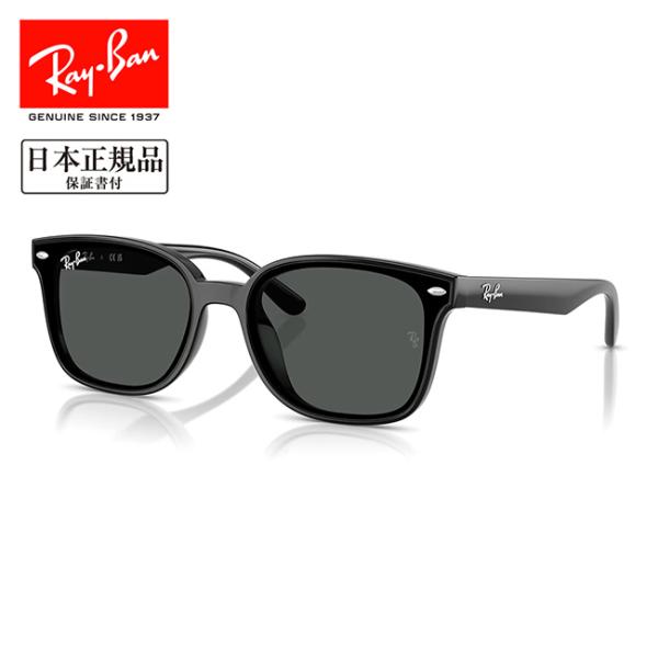 Ray-Ban レイバン RB4461D 601/87 64 【 日本正規品 サングラス ローブリッジフィット運転 ドライブ 紫外線 UV アウトドア 】