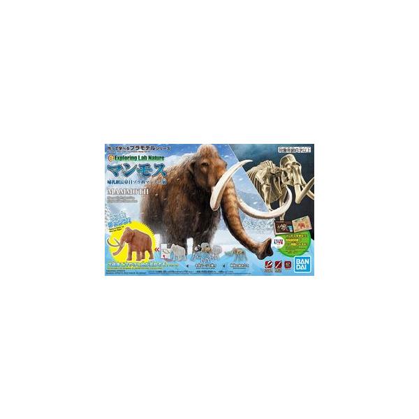 種別:グッズ  キャラクタープラモデル 商品説明:キャラクタープラモデル 商品特徴:バンダイキャラクタープラモデル5062179 JAN:4573102621795 登録日:2024/01/18 プラモデル・模型その他