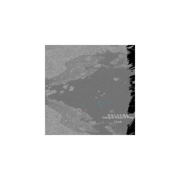 【発売日：2026年01月22日】種別:CD イージーリスニングヒーリング/ニューエイジ ※こちらの商品はインディーズ盤にて流通量が少なく、手配できない場合がございます 発売日:2026/01/22 販売元:ブリッジ 登録日:2026/01...