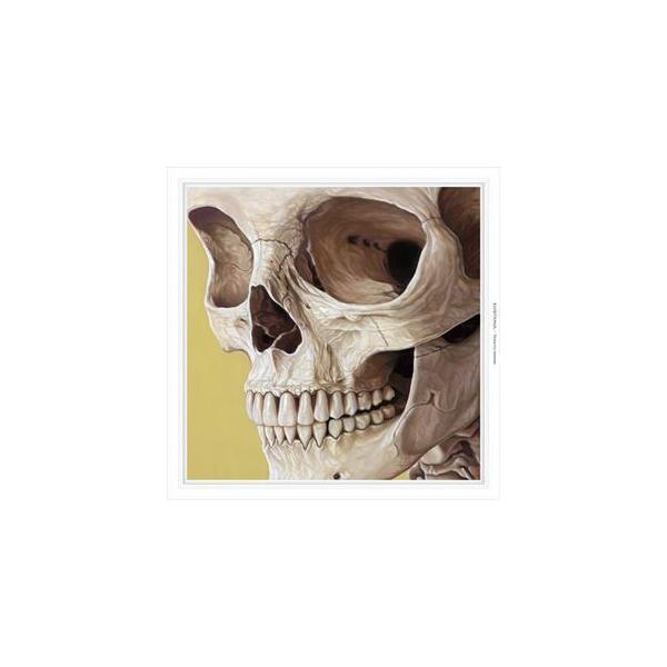 【発売日：2016年12月21日】種別:CD 邦楽クラブ/テクノ 発売日:2016/12/21 販売元:ソニー・ミュージックソリューションズ 登録日:2016/11/07 石野卓球 イシノタッキュウ ギャクルナティーク SummerCP 石...