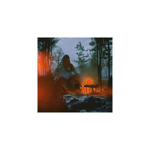 【発売日：2024年10月02日】種別:CD 邦楽J-POP 発売日:2024/10/02 販売元:ポニーキャニオン 登録日:2024/08/08 Bialystocks ビアリストックス ソングス フォー ザ クリプティッズ 内容:空も飛...