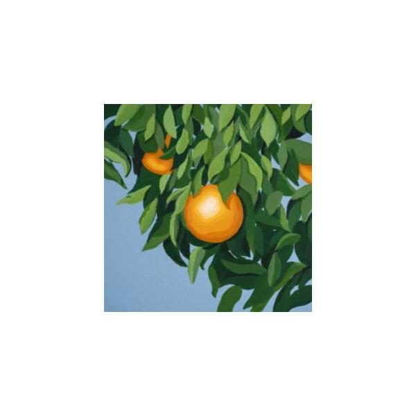 【発売日：2026年01月30日】種別:CD 洋楽ロック 発売日:2026/01/30 販売元:BEATINK 登録日:2025/09/29 タイラー・ボールゲーム ボールゲーム タイラー フォー ザ ファースト タイム アゲイン アルバム...