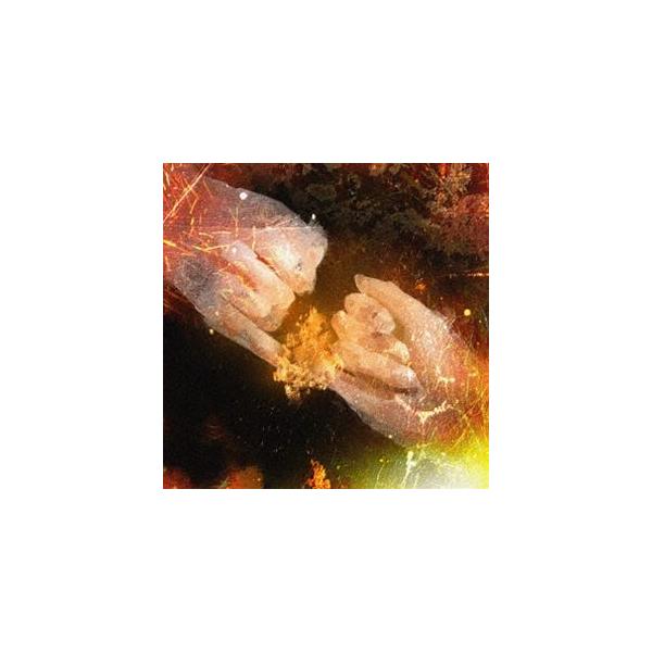 【発売日：2024年02月07日】種別:CD 邦楽ロック/ソウル 発売日:2024/02/07 販売元:エイベックス・ミュージック・クリエイティヴ 登録日:2023/12/15 DeNeel デニール ドウカ ブラックアウト 特典:ステッカ...