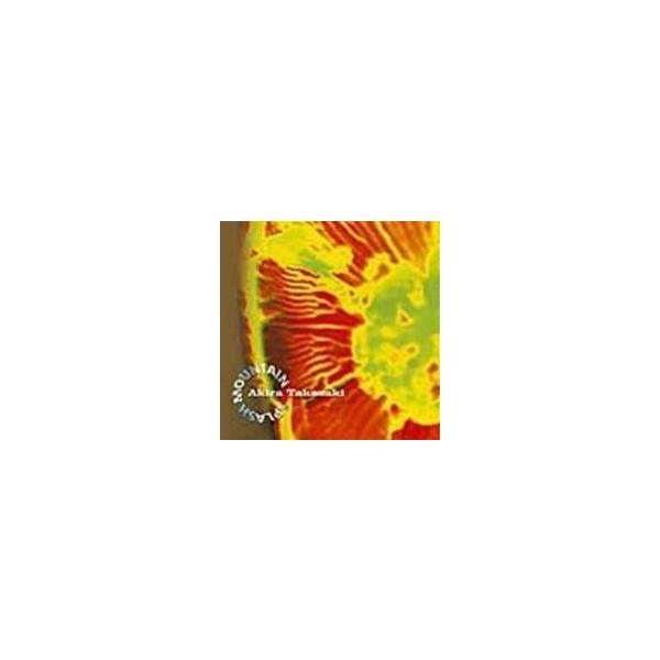 【発売日：2004年09月22日】種別:CD 邦楽ロック/ソウル 発売日:2004/09/22 販売元:ユニバーサル ミュージック 登録日:2006/10/20 高崎晃 タカサキアキラ スプラッシュマウンテン 高崎晃 CD 内容:I KNO...
