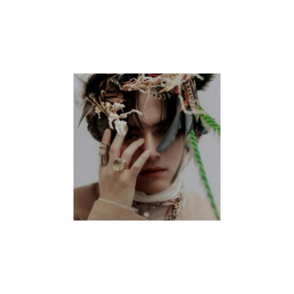 【発売日：2026年01月14日】種別:CD 邦楽J-POP 発売日:2026/01/14 販売元:ユニバーサル ミュージック 登録日:2025/11/10 竹中雄大 タケナカユウダイ ディーバ Novelbright ソロカバーアルバム ...