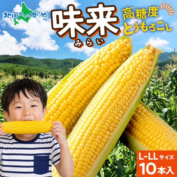 【発売日：2026年08月07日】■商品内容：北海道産 トウモロコシ 味来 4.3kg前後（10本）■出荷予定日：【日時指定不可】8月中旬-9月中旬頃入荷次第、ご予約順に出荷いたします。天候等により、出荷時期が変更となる場合がございます。■...