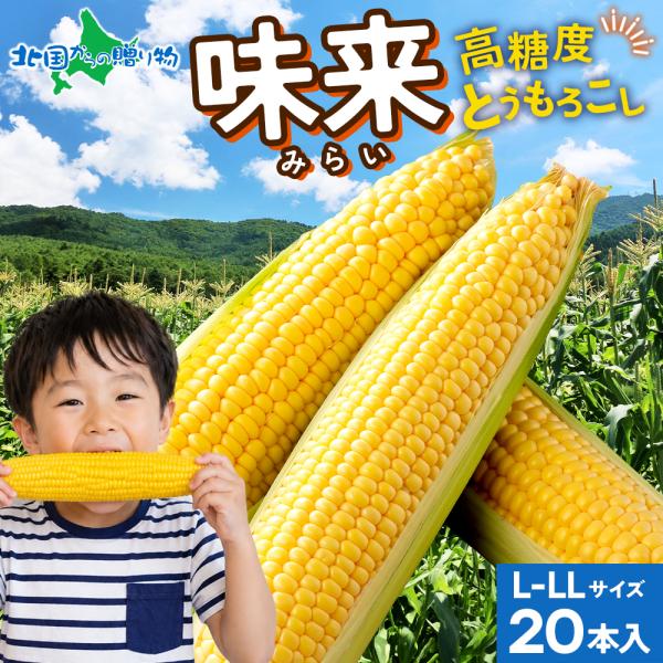 【発売日：2026年08月07日】■商品内容：北海道産 トウモロコシ 味来 8.6kg前後（20本）■出荷予定日：【日時指定不可】8月中旬-9月中旬頃入荷次第、ご予約順に出荷いたします。天候等により、出荷時期が変更となる場合がございます。■...