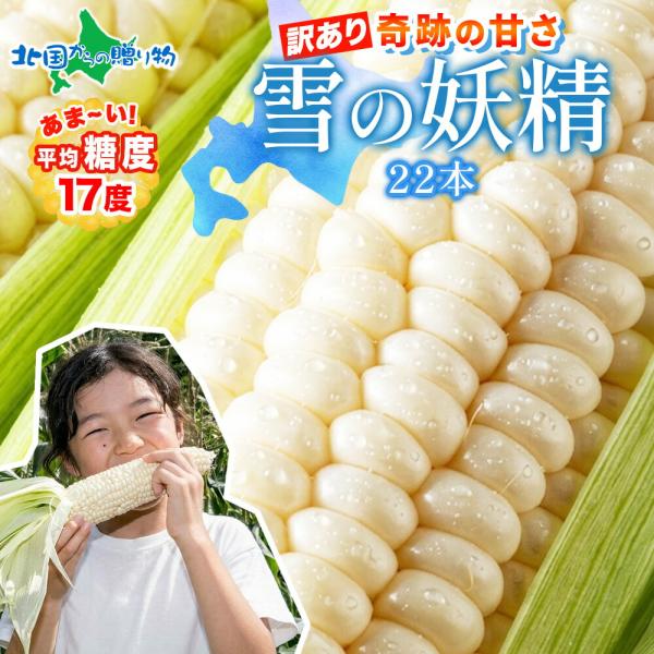 【発売日：2026年07月31日】▼大人気のホワイトコーン！■商品内容：北海道産 トウモロコシ 雪の妖精 22本※サイズはご指定いただけません。■出荷予定日：【日時指定不可】8月中旬-9月下旬頃入荷次第、ご予約順に出荷いたします。天候等によ...