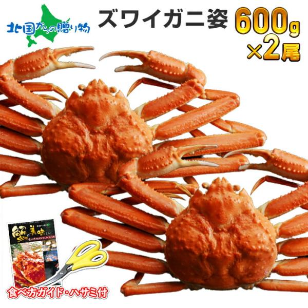 ▼ギフトにオススメ。縁起の良い、蟹姿です！食べ方ガイド付き はさみ付 カニハサミ セット■商品内容：ボイル冷凍 ズワイガニ姿 600g前後×2尾■原産地：ロシア、カナダ、アメリカ（アラスカ）■お届け日：最短で13時までのご注文は当日発送とな...