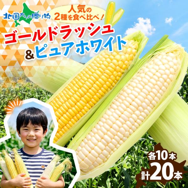 ▼定番の黄色と希少な白を食べ比べ！■商品内容：北海道産 とうもろこし 食べ比べセット20本（ゴールドラッシュ10本・ピュアホワイト10本）■出荷予定日：7月下旬〜8月下旬頃（日時指定不可・天候により変更あり）■送料：送料無料（沖縄・離島、一...