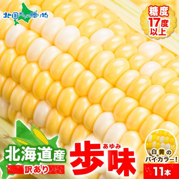 【発売日：2026年07月31日】▼バイカラーのとうもろこし「歩味（あゆみ）」を採れたて新鮮なまま直送します！■商品内容：北海道産 訳あり とうもろこし 歩味（あゆみ） 11本■出荷予定日：【日時指定不可】8月中旬-9月下旬頃※天候により変...