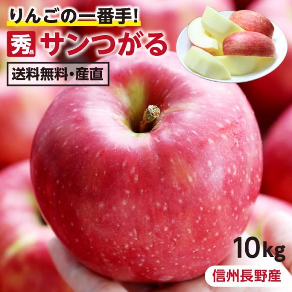 【発売日：2026年09月15日】・品種  サンつがる・産地  長野県飯田下伊那・内容量  約10kg 28〜40玉・配送  ヤマト運輸　常温便・保存方法  商品到着後、すぐに開封し商品状態をご確認ください。風通しの良い所で保存し、お早目に...