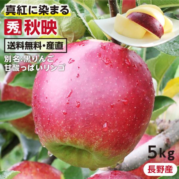 【発売日：2026年10月10日】・品種秋映・産地長野県飯田市・内容量約5kg（11〜16玉）・配送ヤマト運輸　常温便・保存方法商品到着後、すぐに開封し商品状態をご確認ください。風通しの良い所で保存し、お早目にお召し上がりください。・生産者...