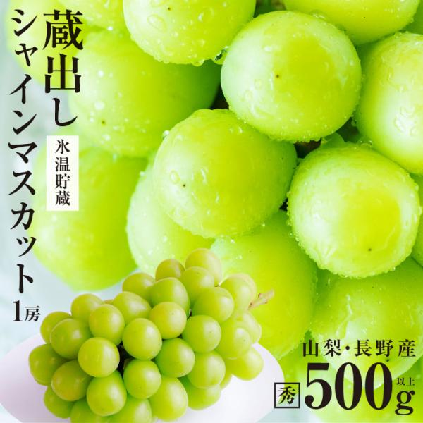 ・商品名蔵出しシャインマスカット 秀品 約500g 1房入り・産地長野県または山梨県産・内容量1房入り約500g・配送ヤマト運輸　常温便・保存方法商品到着後、すぐに開封し商品状態をご確認ください。冷蔵庫で保存し、お早目にお召し上がりください...