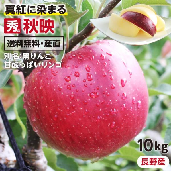 【発売日：2026年10月10日】・品種秋映・産地長野県飯田市・内容量約10kg（22〜32玉）・配送ヤマト運輸　常温便・保存方法商品到着後、すぐに開封し商品状態をご確認ください。風通しの良い所で保存し、お早目にお召し上がりください。・生産...