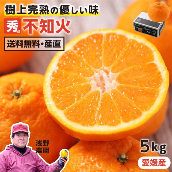 【発売日：2026年03月15日】・商品名不知火 秀品 5kg（L〜3Lサイズ）・産地愛媛県三崎町・内容量5kg（約15〜30玉）・配送ヤマト運輸 常温便・保存方法商品到着後、すぐに開封し商品状態をご確認ください。冷蔵庫で保存し、お早目にお...