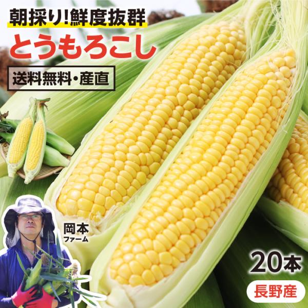 【発売日：2026年08月20日】・商品名とうもろこし（ゴールドラッシュ）20本・産地長野県下條村産・内容量約7kg（2L以上 20本）・配送ヤマト運輸　冷蔵便・保存方法商品到着後、すぐに開封し商品状態をご確認ください。風通しの良い所で保存...