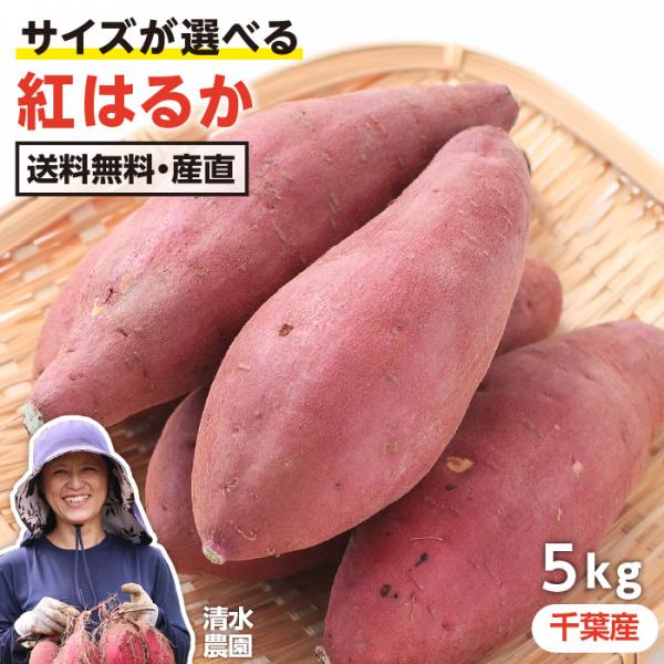 【発売日：2026年02月28日】・商品名千葉県産 紅はるか 5kg M・Lサイズ・産地千葉県成田市・内容量5kg※お選びくださいMサイズ（２０本前後） or Lサイズ（１０〜１５本前後）土付き or 付きなし・配送ヤマト運輸 常温便・保存...