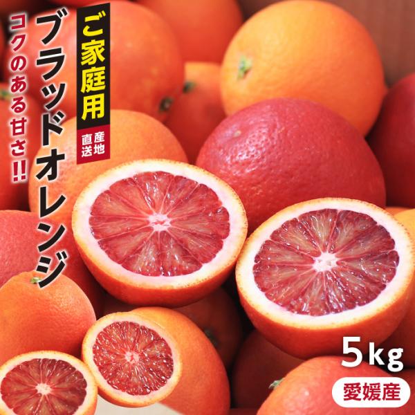・商品名愛媛県産 ブラッドオレンジ 5kg・産地愛媛県南予地域・内容量5kg 約20〜40玉・配送ヤマト運輸　常温便・保存方法商品到着後、すぐに開封し商品状態をご確認ください。風通しの良い所で保存してください。・備考◆産地直送品のため、他の...