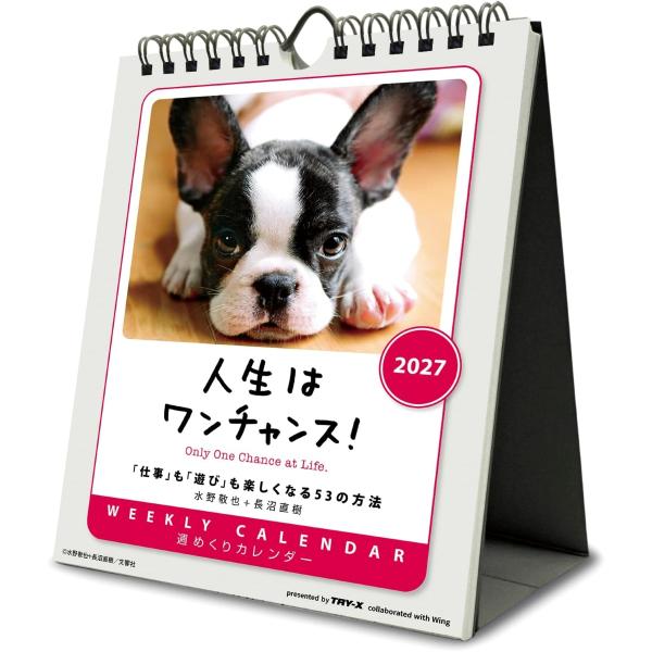 2027年 カレンダー 【新品】