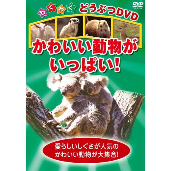 ★最安値に挑戦！迅速配送！★※商品により本社倉庫、第二倉庫、メーカー在庫に分かれます。納期遅れる場合もございます。※発売日後のお届けとなる場合もございます。愛らしいしぐさが人気の かわいい動物が大集合！このDVDにでてくるかわいいどうぶつた...
