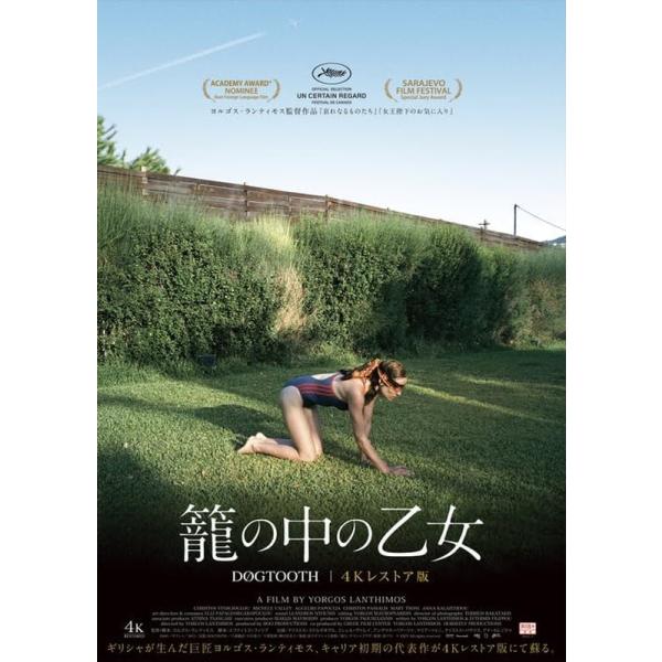 【発売日：2025年08月04日】ギリシャが生んだ巨匠ヨルゴス・ランティモス、キャリア初期の代表作が4Kレストア版にて蘇る