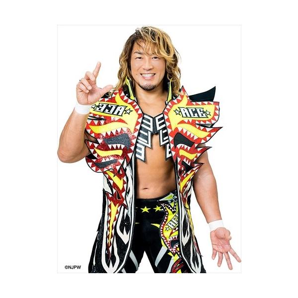 ★最安値に挑戦！迅速配送！★※商品により本社倉庫、第二倉庫、メーカー在庫に分かれます。納期遅れる場合もございます。新日本プロレス"100年に一人の逸材"にして"エース"の棚橋弘至デビュー20周年DVD!!プロレスを黄金時代に導いた男の軌跡に...