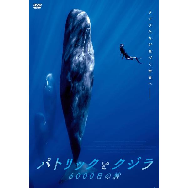 【発売日：2026年03月18日】カメラマンと2組のクジラの友情物語