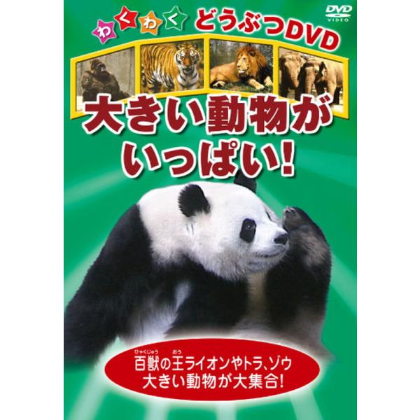 ★最安値に挑戦！迅速配送！★※商品により本社倉庫、第二倉庫、メーカー在庫に分かれます。納期遅れる場合もございます。※発売日後のお届けとなる場合もございます。百獣の王ライオンやトラ、ゾウ 大きい動物が大集合！このDVDにでてくる大きいどうぶつ...
