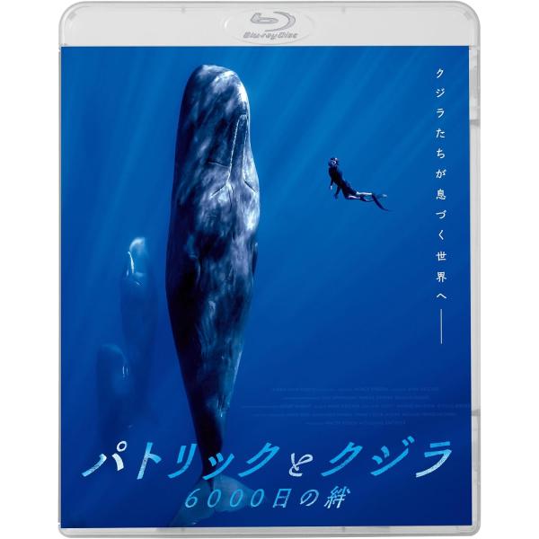 【発売日：2026年03月18日】カメラマンと2組のクジラの友情物語