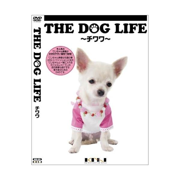 チワワ好きにおすすめのDVD