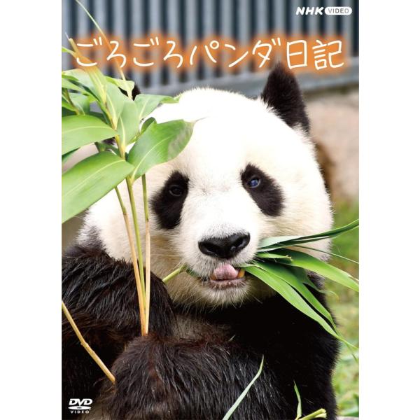 【発売日：2024年12月20日】★最安値に挑戦！迅速配送！★※商品により本社倉庫、第二倉庫、メーカー在庫に分かれます。納期遅れる場合もございます。※発売日後のお届けとなる場合もございます。※仕様・収録内容は告知なく変更になる場合がございま...