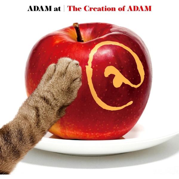 ＜収録予定曲＞Disc.101.六三四 (ニュー・レコーディング)(4:01)02.MONOLITH 2021(4:14)03.Echo Night (ニュー・レコーディング)(3:28)04.Clarice(3:47)05.OUTLAST...