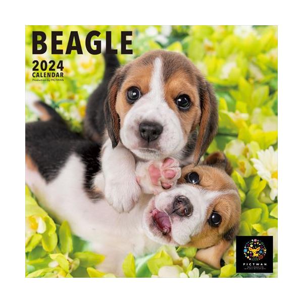 カレンダーの発売日延期や仕様変更につきましては、商品ページにてご確認くださいませ。価格変更・生産中止になった場合には、当店よりメールにてご案内させていただきます。サイズ・仕様／ヒラW288×H288mm・28P商品番号／24CL-50002...