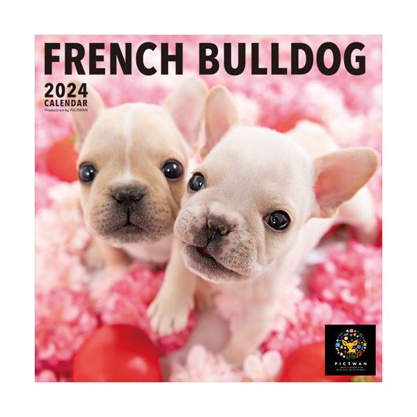 カレンダーの発売日延期や仕様変更につきましては、商品ページにてご確認くださいませ。価格変更・生産中止になった場合には、当店よりメールにてご案内させていただきます。サイズ・仕様／ヒラW288×H288mm・28P商品番号／24CL-50010...