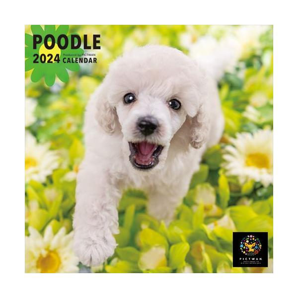 カレンダーの発売日延期や仕様変更につきましては、商品ページにてご確認くださいませ。価格変更・生産中止になった場合には、当店よりメールにてご案内させていただきます。サイズ・仕様／ヒラW170×H170mm・28P商品番号／24CL-50039...