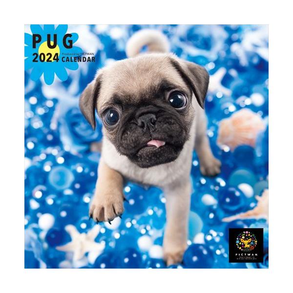 カレンダーの発売日延期や仕様変更につきましては、商品ページにてご確認くださいませ。価格変更・生産中止になった場合には、当店よりメールにてご案内させていただきます。サイズ・仕様／ヒラW170×H170mm・28P商品番号／24CL-50040...