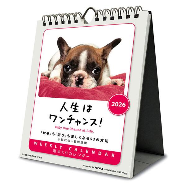 【発売日：2025年09月20日】■タイトル／人生はワンチャンス！ 卓上/壁掛■品番／CL26-383■JAN／4968855260382■サイズ・仕様／18×14cm・55枚 / ヒラ