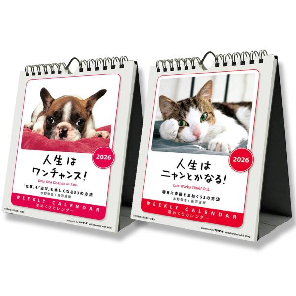 【発売日：2025年09月20日】■タイトル／人生はワンチャンス！ ／ 人生はニャンとかなる！ 卓上/壁掛 セット■品番／CL26-383-384■JAN／4968855260382・4968855260399■サイズ・仕様／共に18×14...