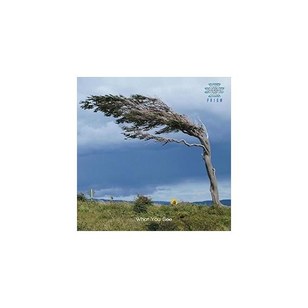 ※商品により本社倉庫、第二倉庫、メーカー在庫に分かれます。納期遅れる場合もございます。※取り寄せ商品となるため、発売日後のお届けとなる場合もございます。※ご購入できた場合でも、在庫がなくなり次第キャンセルとなる場合がございます。何卒ご了承く...