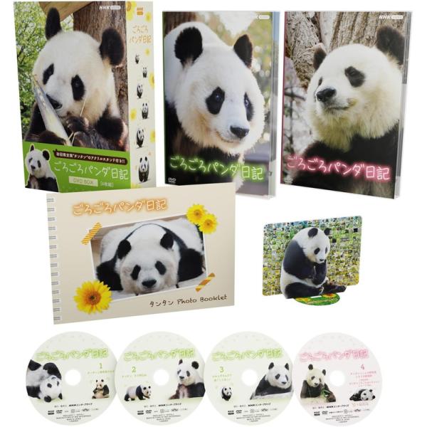 【発売日：2026年03月27日】タンタンが神戸で過ごした日々を振り返る感動ドキュメンタリー