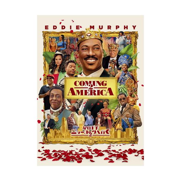 【発売日：2025年07月04日】★最安値に挑戦！迅速配送！★※商品により本社倉庫、第二倉庫、メーカー在庫に分かれます。納期遅れる場合もございます。※発売日後のお届けとなる場合もございます。＜仕様＞DVD＜収録内容＞メディア形式:色, ドル...